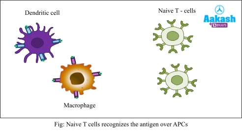 Acquired immunity: Definiton, Types of Immunity and Practice Questions | AESL
